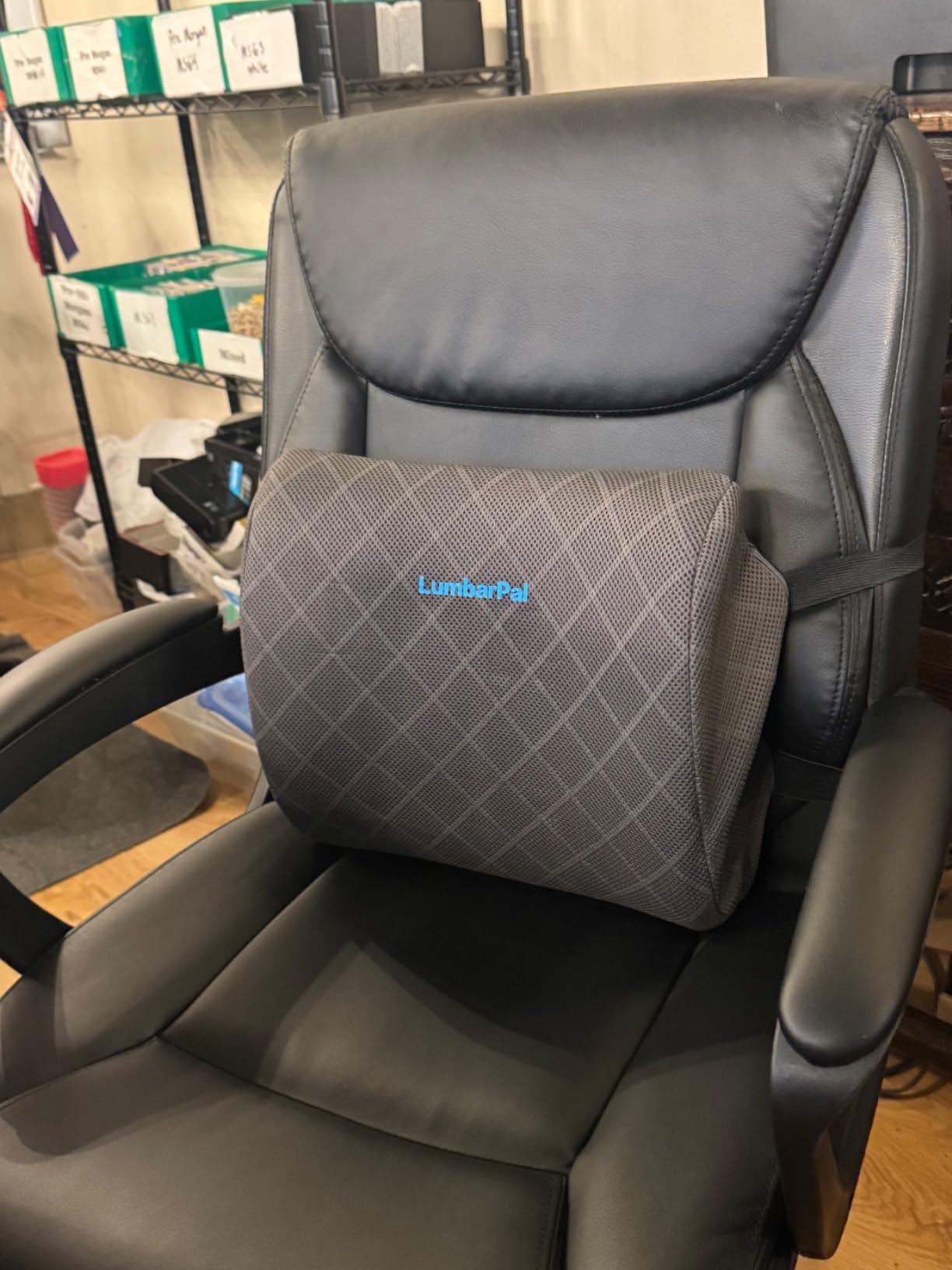 6 Best Lumbar Support Pillows for Car Seats (April 2026) Tested