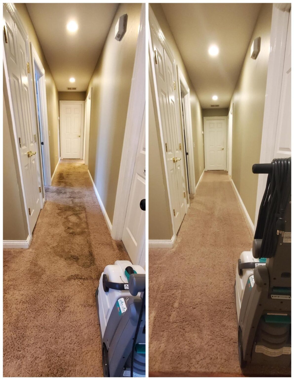 12 Best Commercial Carpet Extractors (June 2026) Complete Guide