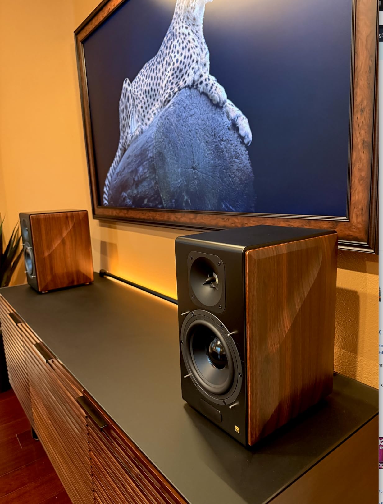 10 Best Audiophile Speakers Under $2000 (April 2026) Expert Picks