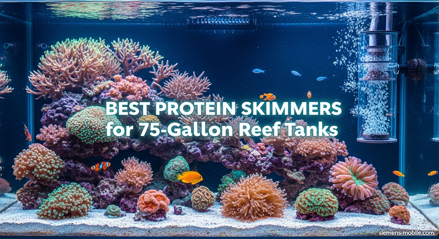 5 Best Protein Skimmers for 75-Gallon Reef Tanks (April 2026) Expert ...