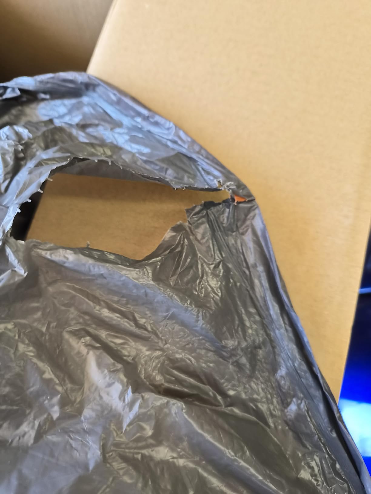 6 Best Built In Trash Compactors (June 2026) Expert Reviews