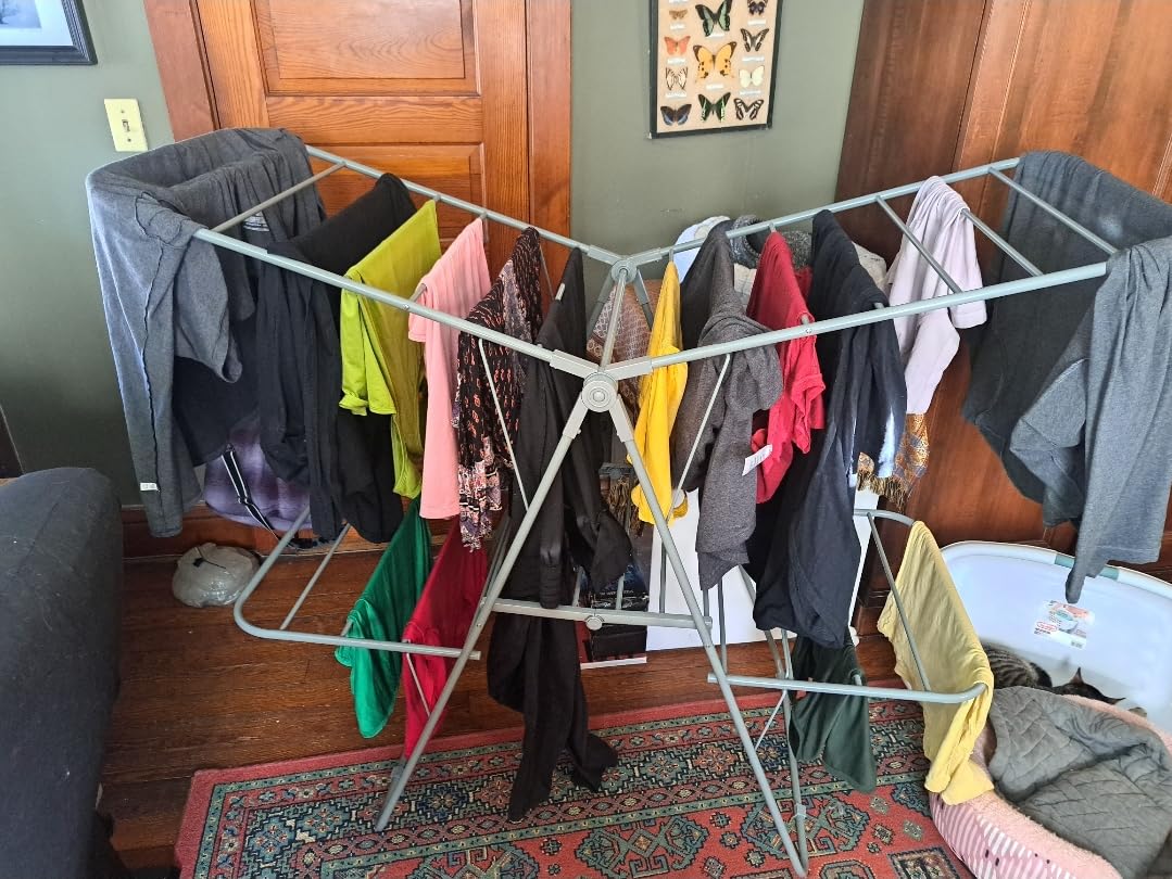 12 Best Heated Clothes Drying Racks (June 2026) Complete Buying Guide