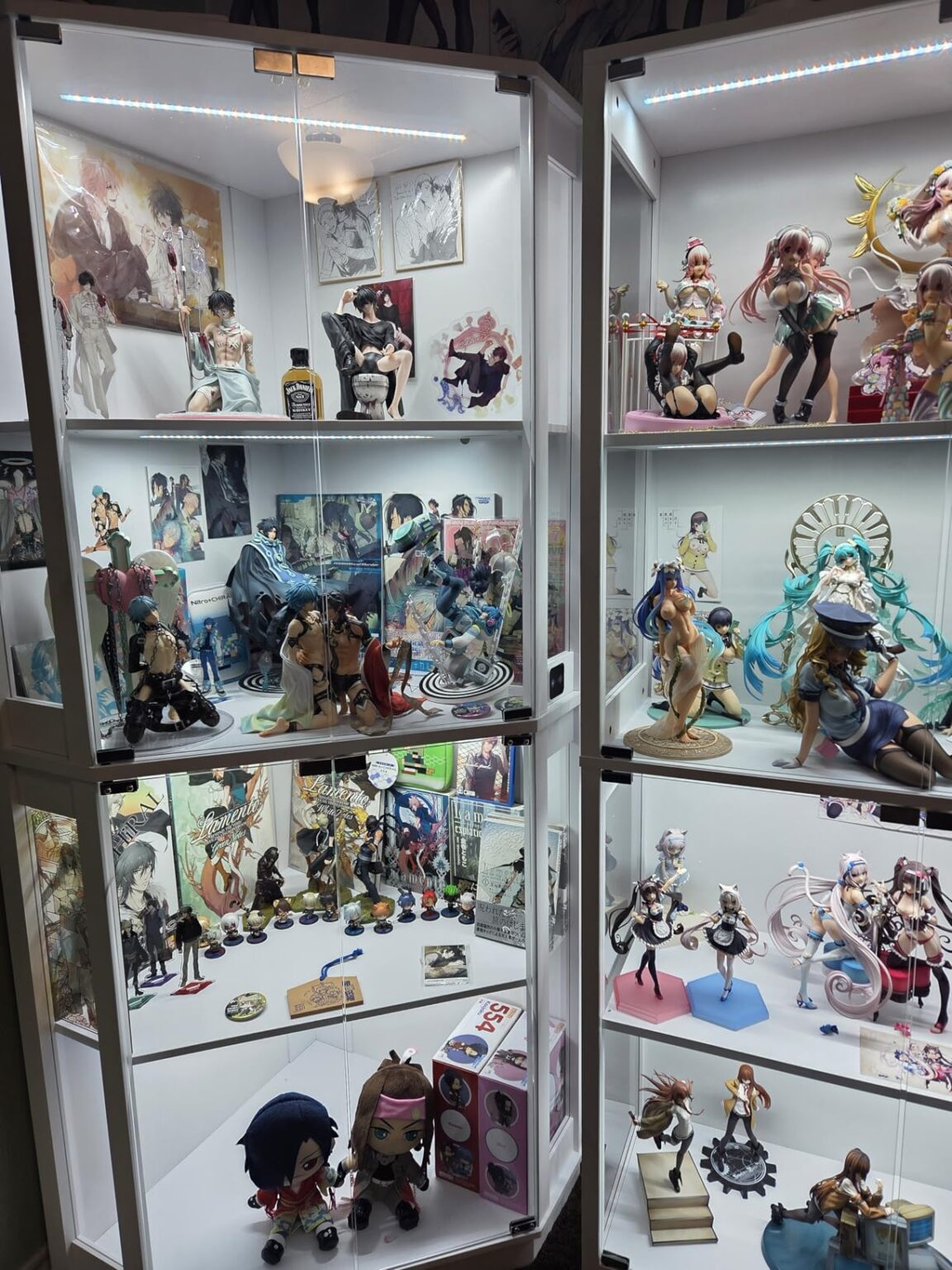 12 Best Display Cases for Collectibles (July 2026) Reviews