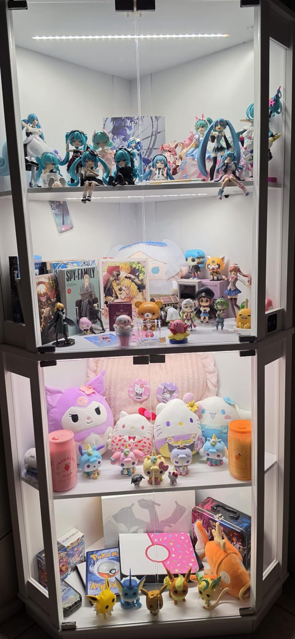 12 Best Display Cases for Collectibles (July 2026) Reviews